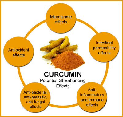 Curcumin and Inflammatory Bowel Diseases – Optimal Laboratories